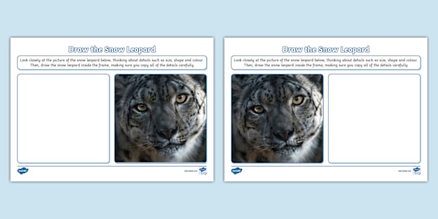 Snow Leopard Artworks | twinkl.co.uk