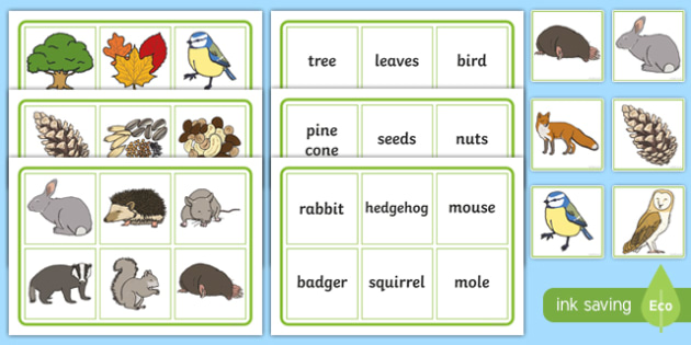 Woodland and Forests Matching Game