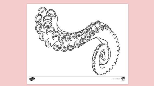 FREE! - Tentacle Colouring | Colouring Sheets (teacher made)