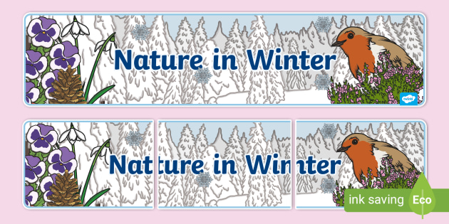 Nature in Winter Banner (teacher made)