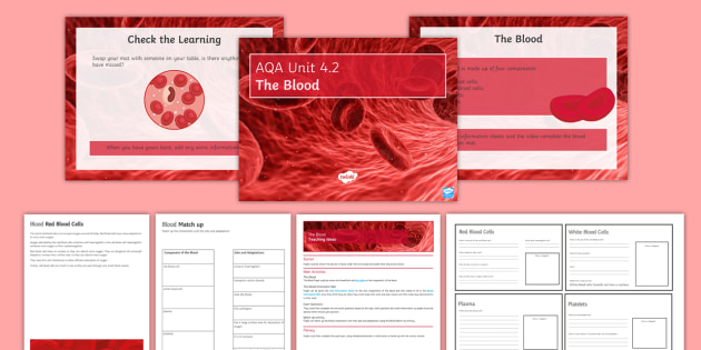 AQA Biology Unit 2 The Blood Cover Lesson Pack - blood, red, cell, white