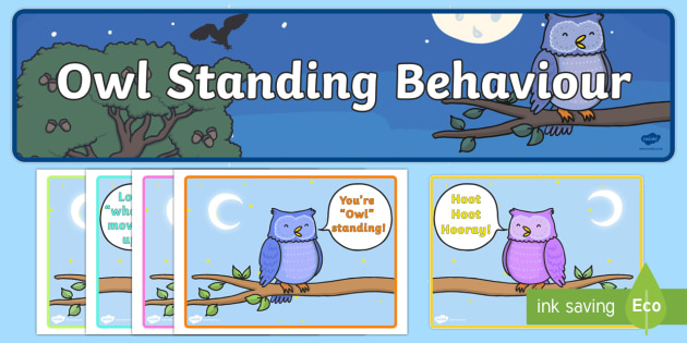 Owlstanding Behavior Display
