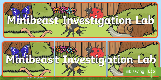 Minibeasts Investigation Lab Role Play Display Banner