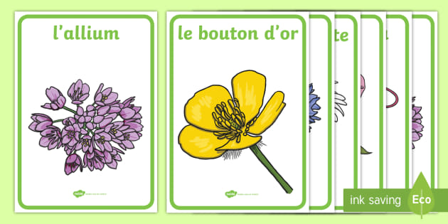 Posters : Les fleurs (teacher made)