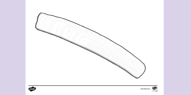 FREE! - Razor Shell Colouring Sheet | Colouring Sheets