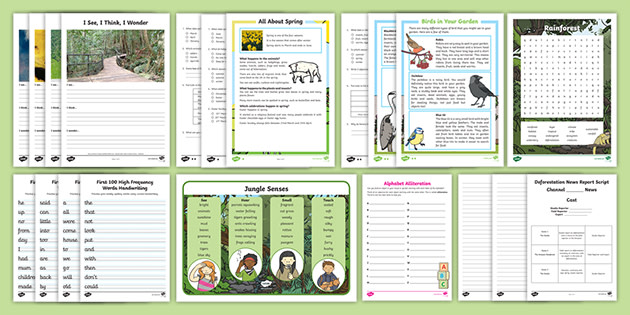P4 Literacy Home Learning Pack 2 (teacher made)