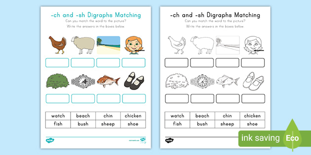 -ch and -sh Digraphs Matching Activity (teacher made)