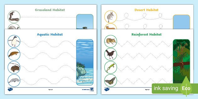 Bush and Beach Habitat Animal Sorting
