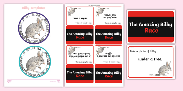 The Amazing Easter Bilby Race (teacher made)