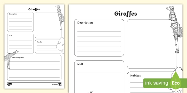 Giraffes (teacher made)