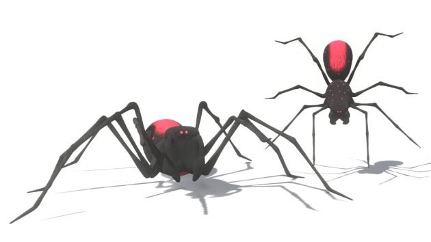 Spooky Spider Augmented Reality (AR) Quick Look Model Educational Teaching