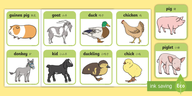 Mothers and their Young Farm Animals Flashcards English/Mandarin-Chinese