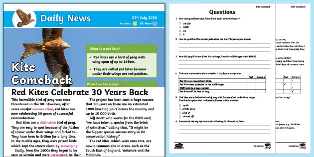 Red Kite Reading Comprehension | Twinkl NewsRoom Resources
