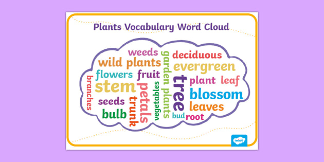 Year 1 Plants Vocabulary Word Cloud (teacher made)