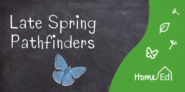 Home Ed Lessons - Browse the Complete Back Catalogue