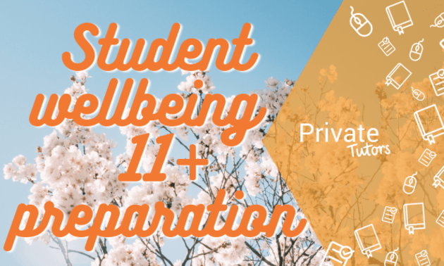 A Tutor Guide to Assessment in KS3 and Beyond: GCSE Revision