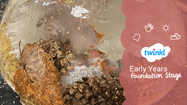 What are schemas? - Twinkl