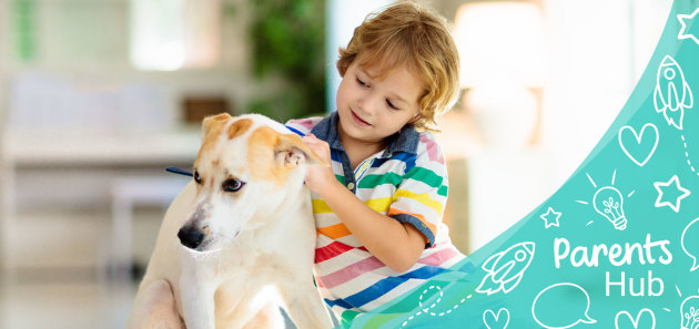 Top Ten Activities about the Romans - Twinkl