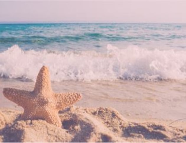 Twinkl Teaching Blog - Page 77 - Twinkl