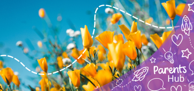 Spring Activity Booklets - Twinkl