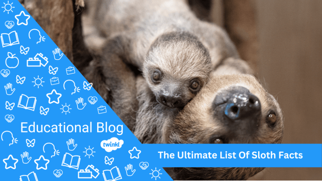 The Best April Fools' Pranks - Blog - Twinkl