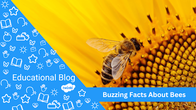 How To Draw Your Own Storybook Map - Twinkl Blog - Twinkl