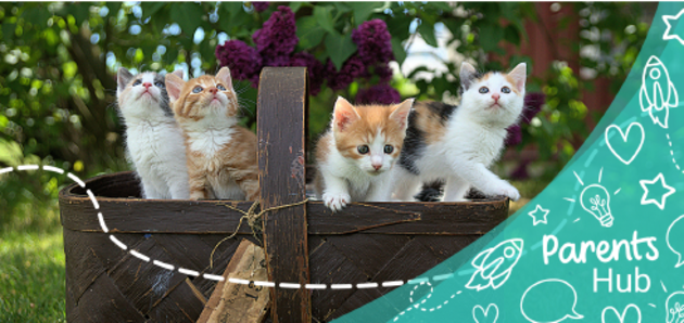 Top Ten Easy STEM Activities - Twinkl