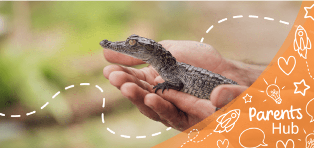 How Can I Use a Montessori Approach to Activities for My Child at Home?