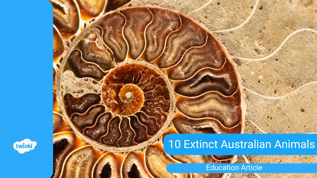 Teaching Children How to Write an Alliteration Poem | Twinkl