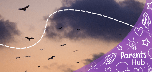 10 Activities About Positive and Negative Numbers - Twinkl