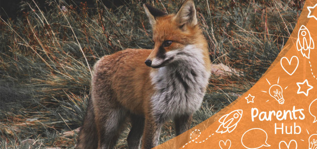 Top Ten Easy STEM Activities - Twinkl