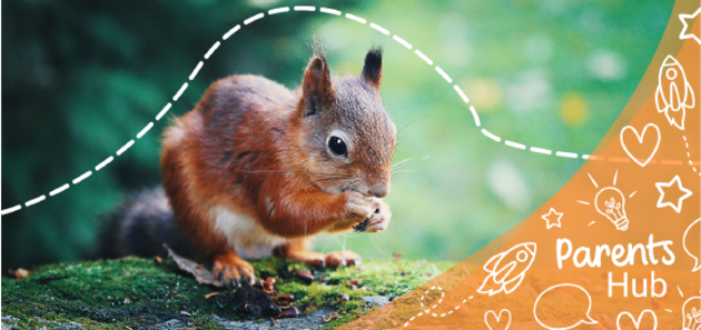 Ideas and Activities About the Commonwealth Games in Birmingham