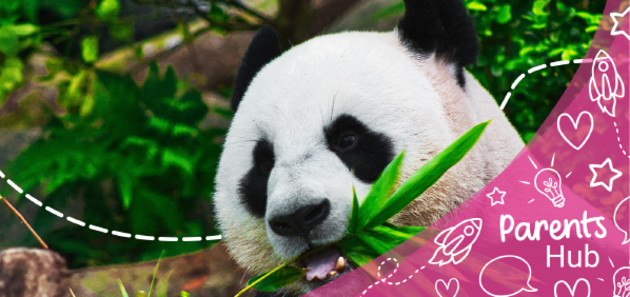 Ada Lovelace Facts for Kids - Twinkl