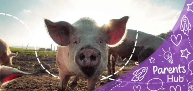 Super Spring Fun for Kids - Twinkl