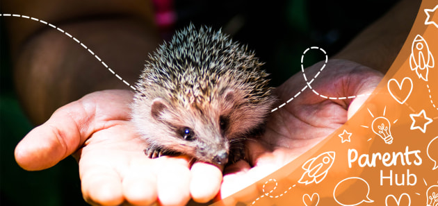 Fifteen Fabulous Ideas for Stick Puppets - Twinkl