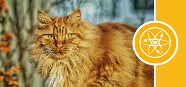 Science Homework Help - Twinkl Homework Help