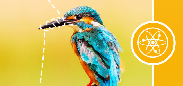 Science Homework Help - Twinkl Homework Help