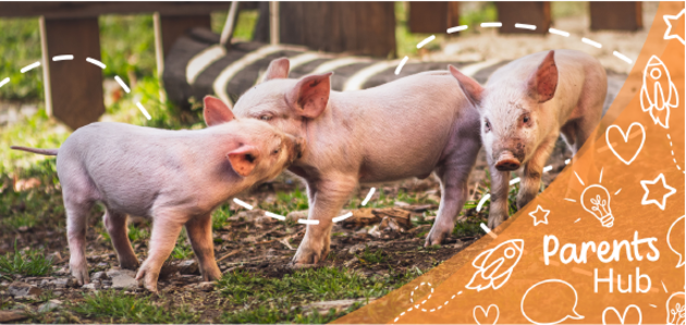 Is ADHD the Same as Autism?