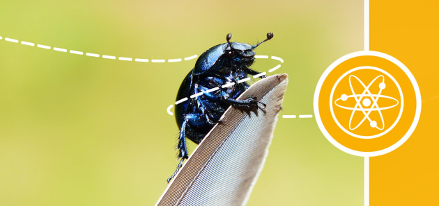 Science Homework Help - Twinkl Homework Help - Twinkl