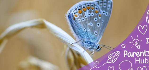 Ten Pudsey Bear Crafts for Kids - Twinkl