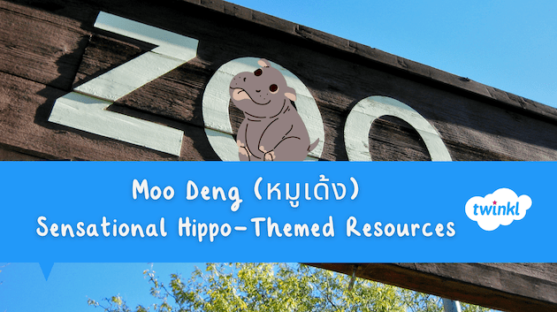 Twinkl Teaching Blog - Twinkl