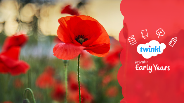 Trajectory Play Schema in Early Years - Twinkl