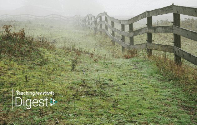 Teaching assistants can apply for new level 5 assistant SENCo apprenticeship