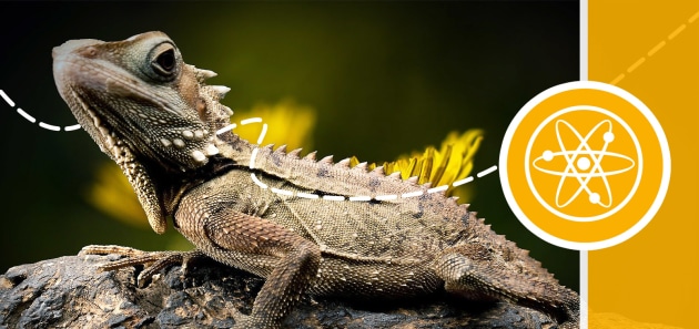 Science Homework Help - Twinkl Homework Help - Twinkl