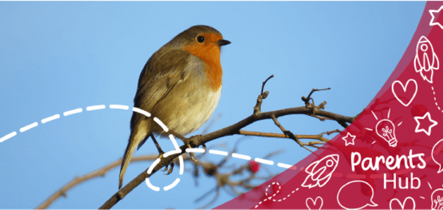 Polar Bear Activities for Kids - Twinkl