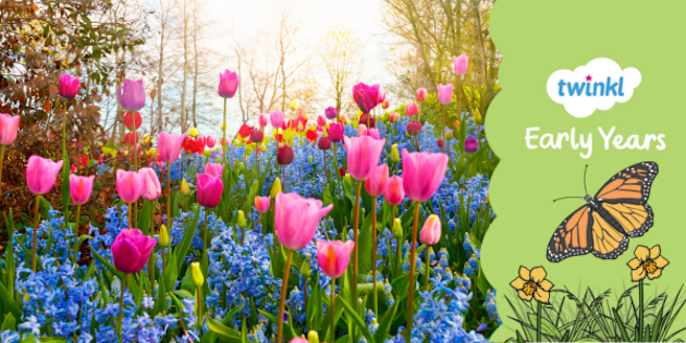 Twinkl Teaching Blog - Page 1 - Twinkl