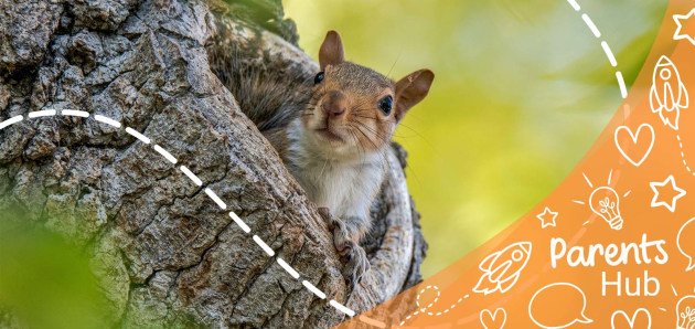 15 Panto Ideas and Activities for Kids - Twinkl Blog