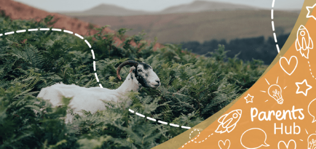 Ten Super Chalk Ideas for Kids - Twinkl