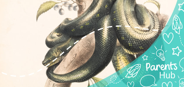 Examples of Similes for Kids