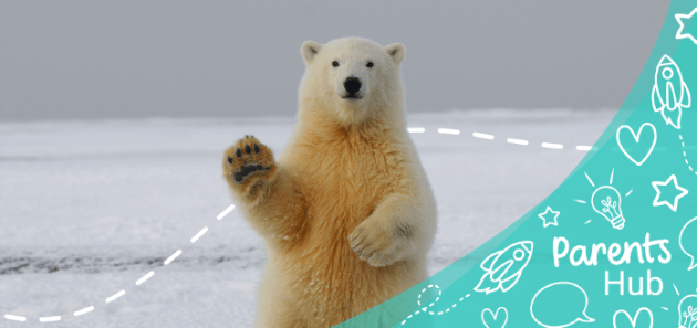 Incredible Insect Facts and Top Insect Activities - Twinkl